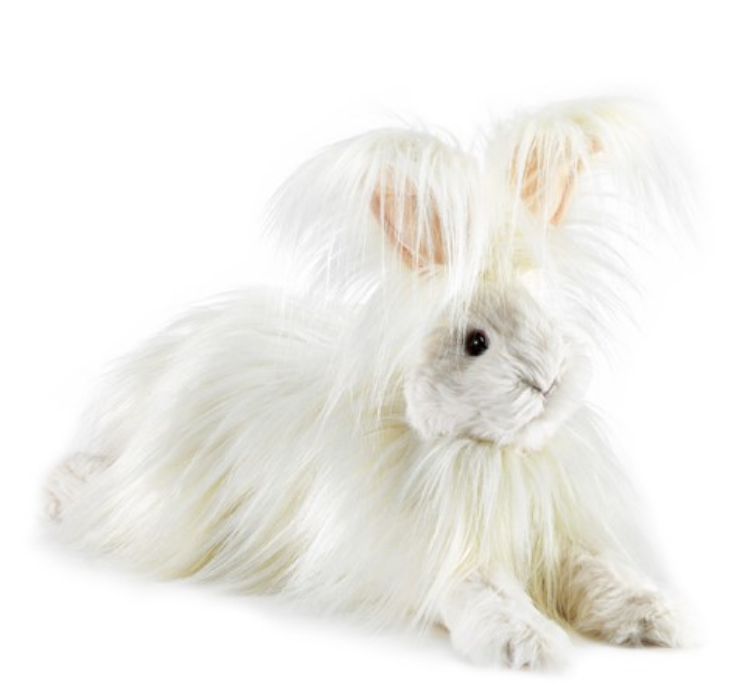 Angora Rabbit – The Little House Shop