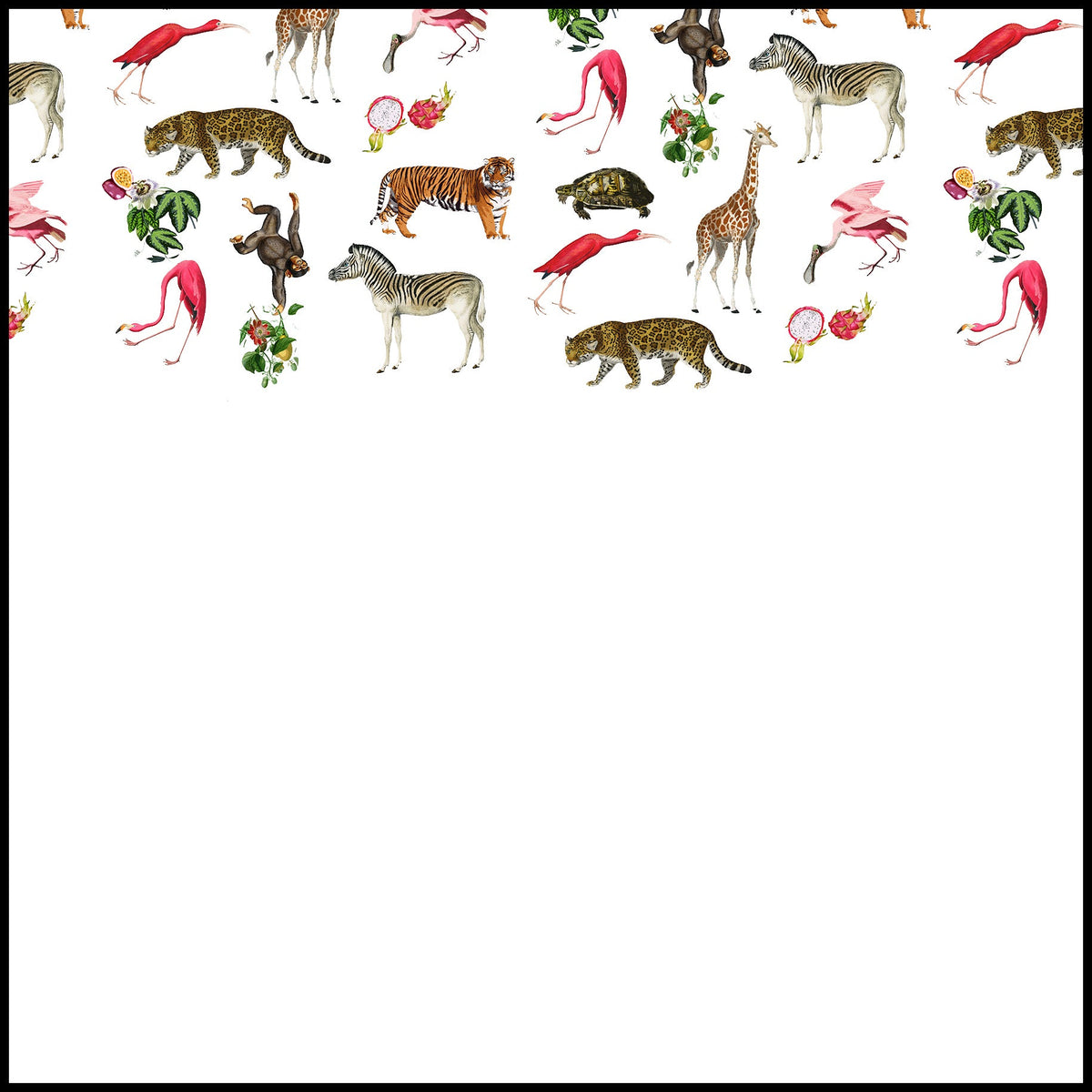 Exotix Natural Note Cards w/ Acrylic Holder – The Little House Shop