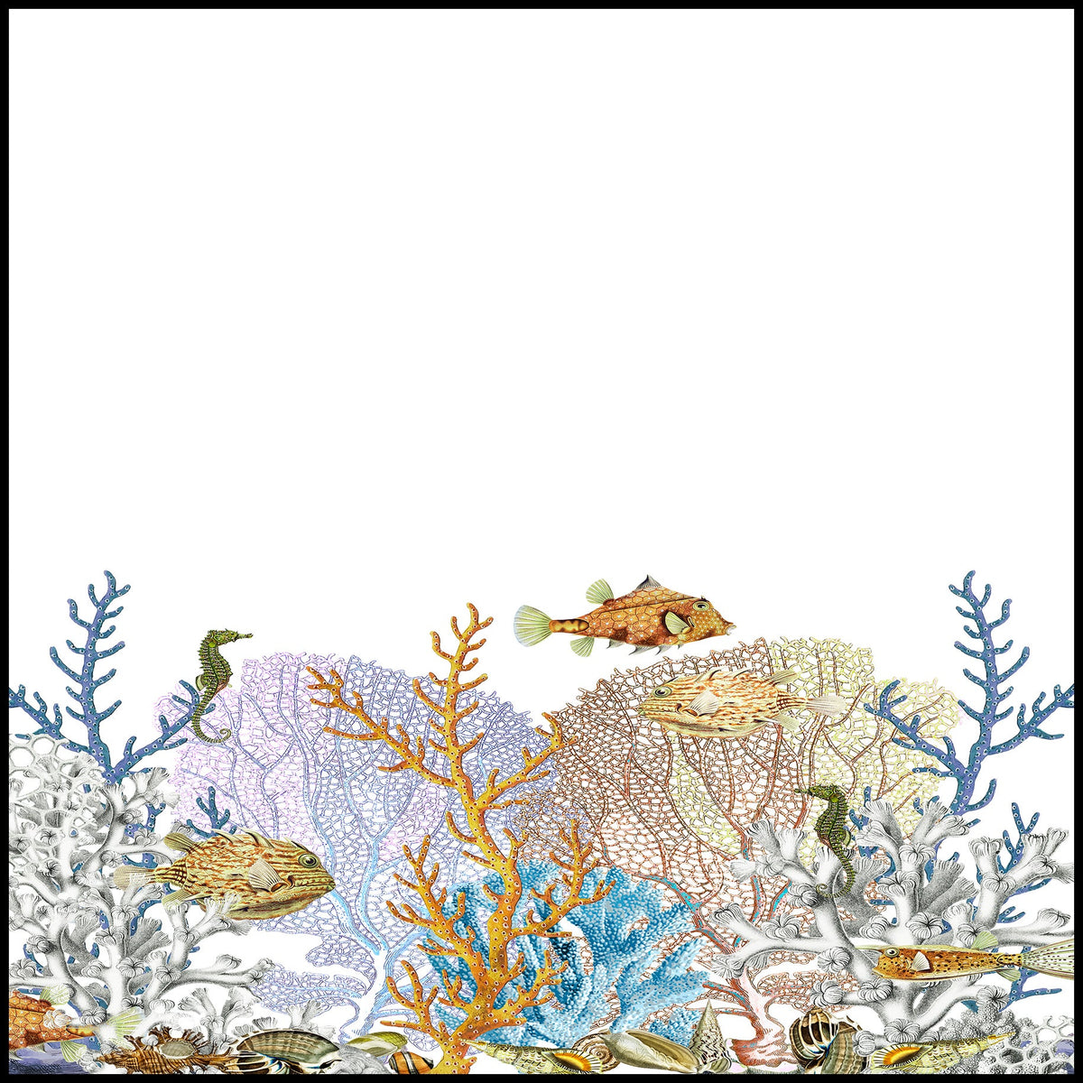 Fan Coral Reef Note Cards with Acrylic Tray Gold Blue – The Little ...
